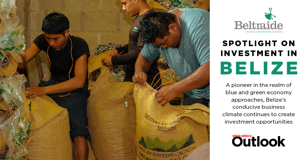 Belize Trade and Investment Development Service : Brochure