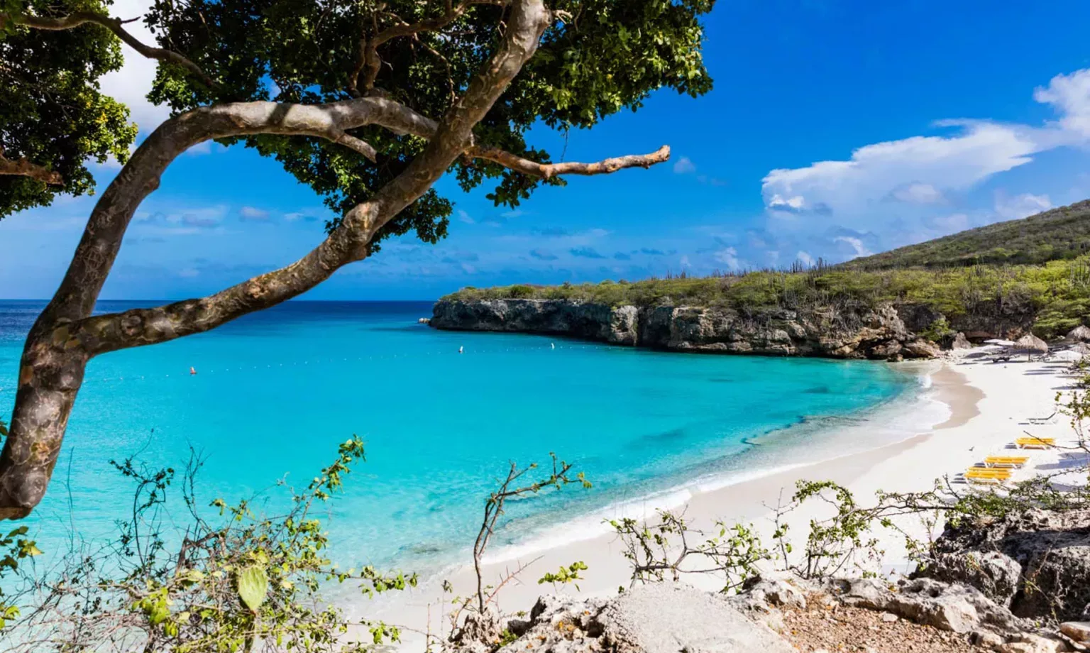 Curaçao Investment & Export Promotion Agency (CINEX)