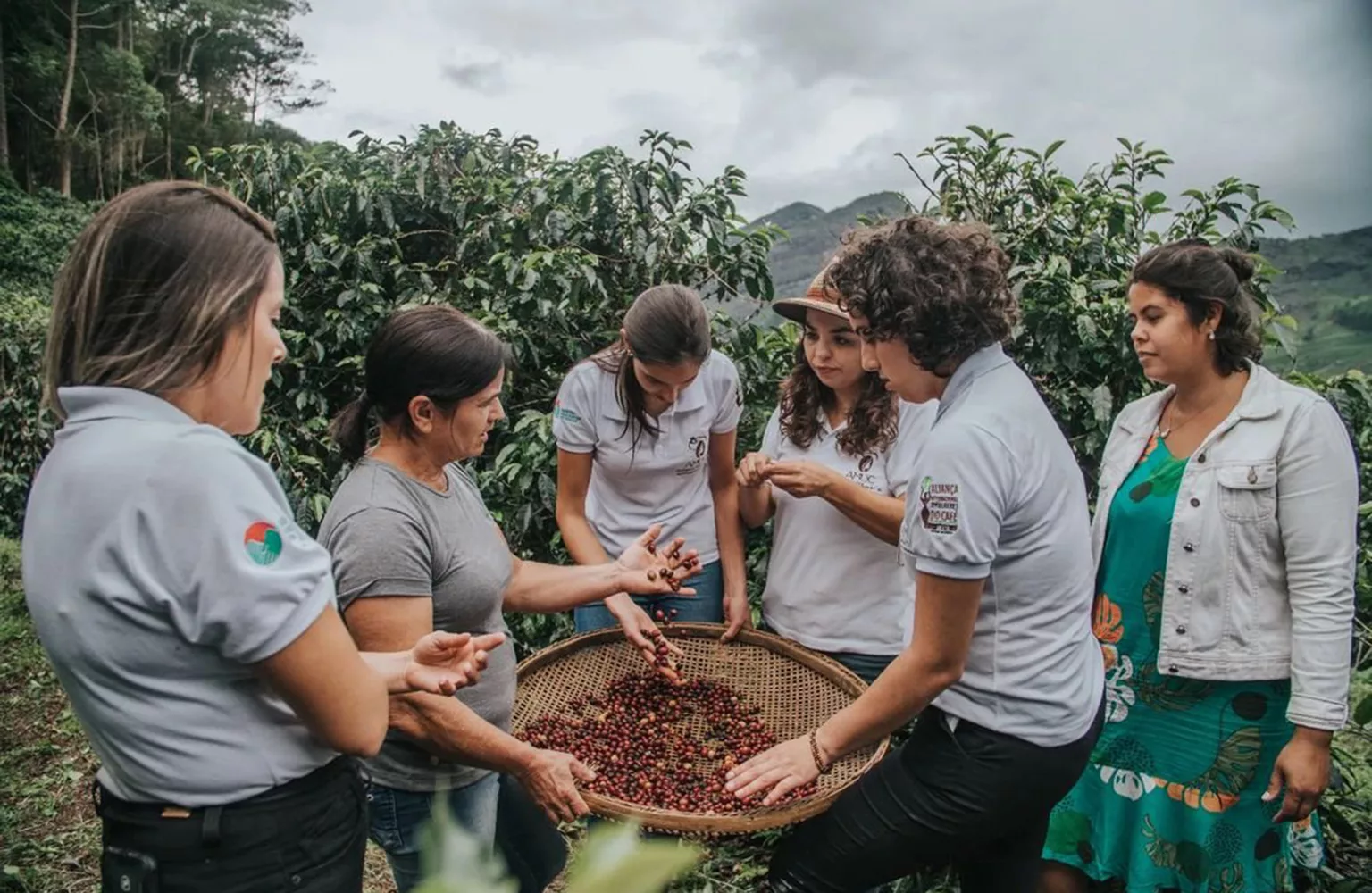 International Women's Coffee Alliance | North America Outlook