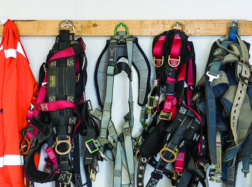 Rising Edge Group : Trust the Energy - North America Outlook